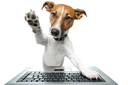 An Easier (& More Effective) Approach to Marketing Your Dog Business ...