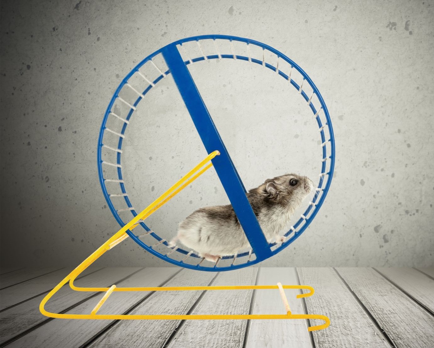 Taming Social Media: An Easier Approach to Great Content – dogbiz