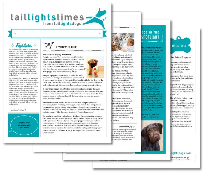 Dog training marketing ideas with newsletter service | dogbiz