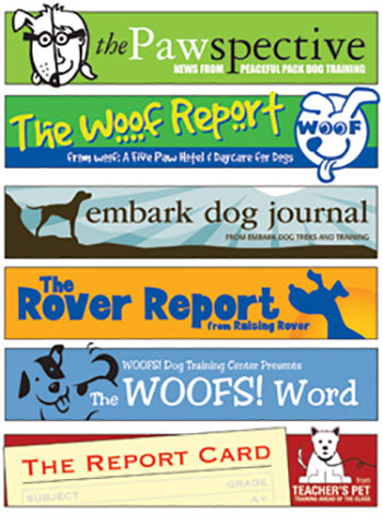 Newsletter writing service for dog training, walking, dog daycare – dogbiz