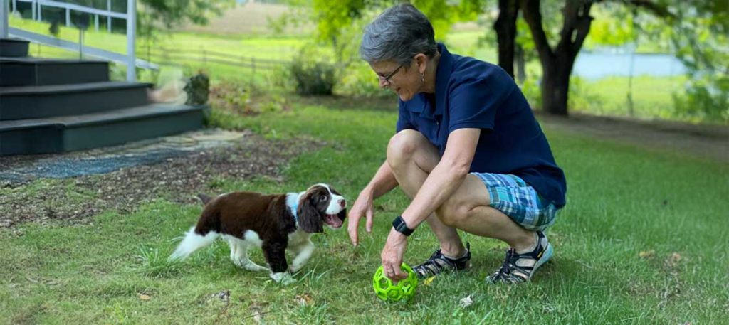 starting-a-dog-training-business – dogbiz